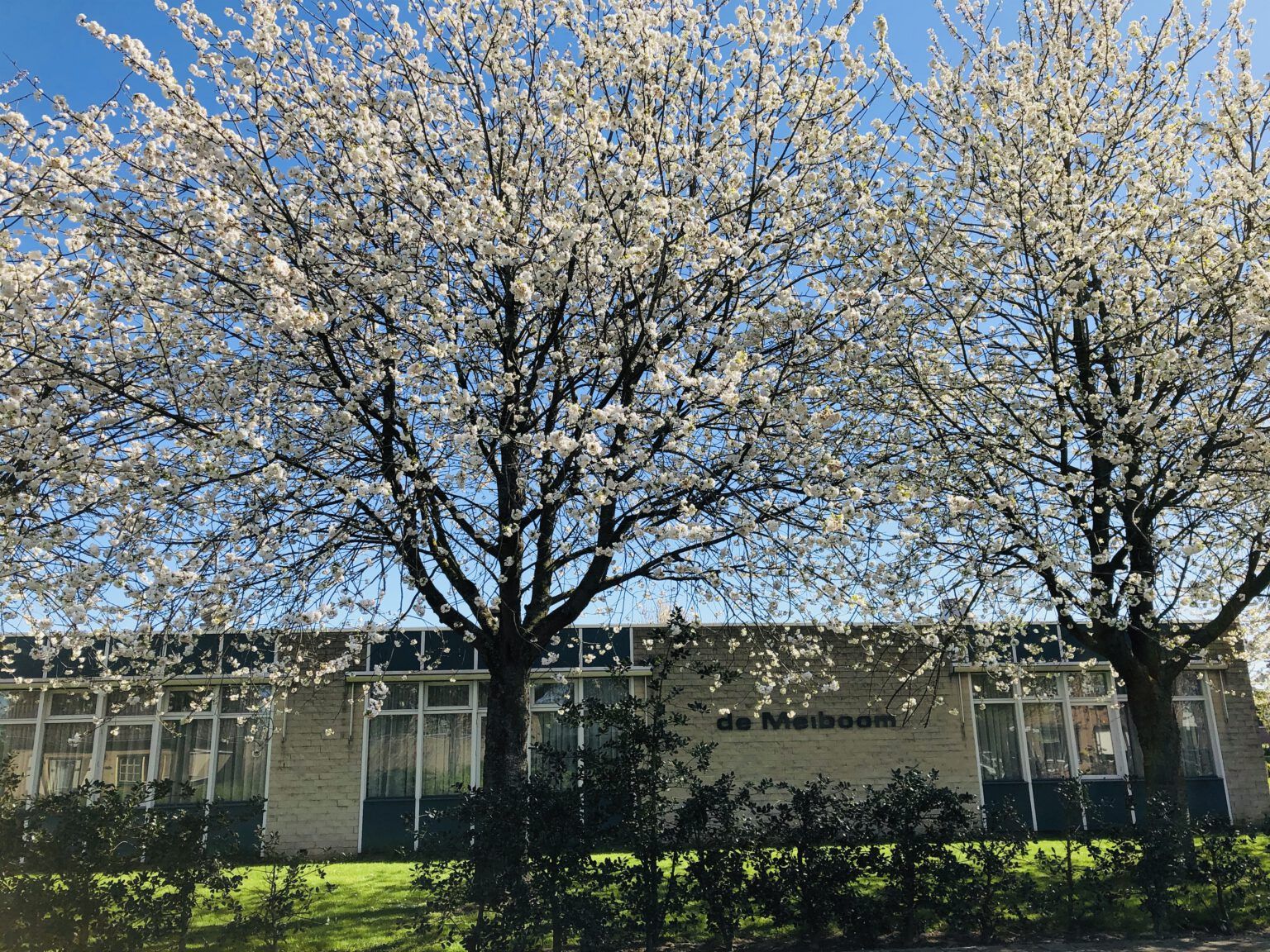 Activiteiten - Dorpshuis De Meiboom